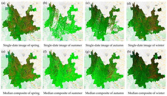 Classifying Forest Types over a Mountainous Area in Southwest China ...