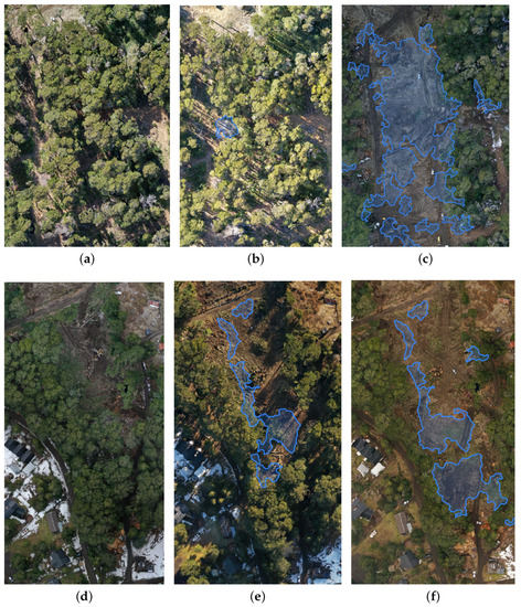 Simplifying UAV-Based Photogrammetry in Forestry: How to Generate ...