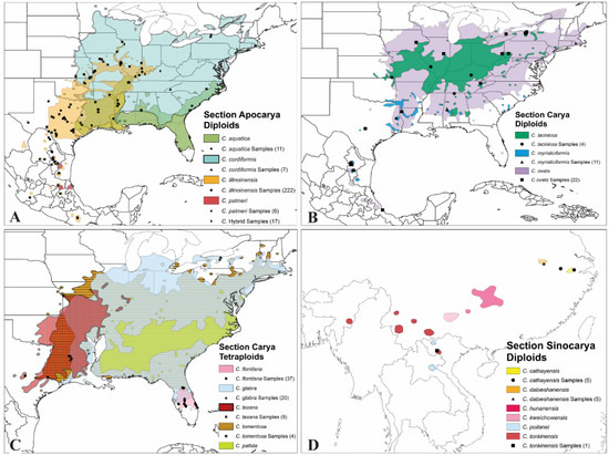 Genetic Diversity Revealed by Microsatellites in Genus Carya