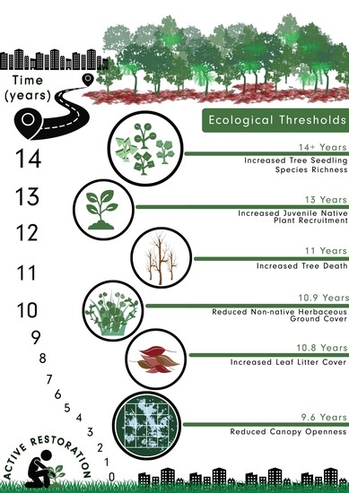 Forests | Free Full-Text | Restoration Trajectories and Ecological ...