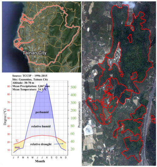 Effects of Thinning on the Growth and Relative Change in the Diameter ...