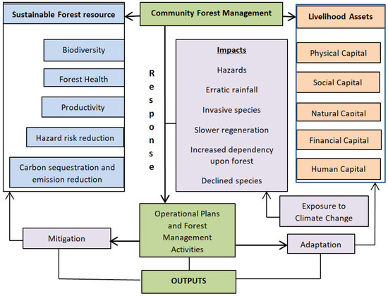 Forests | Free Full-Text | Contribution of Community-Managed Sal-Based ...