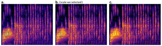Forests | Free Full-Text | Diversity Monitoring of Coexisting Birds in ...