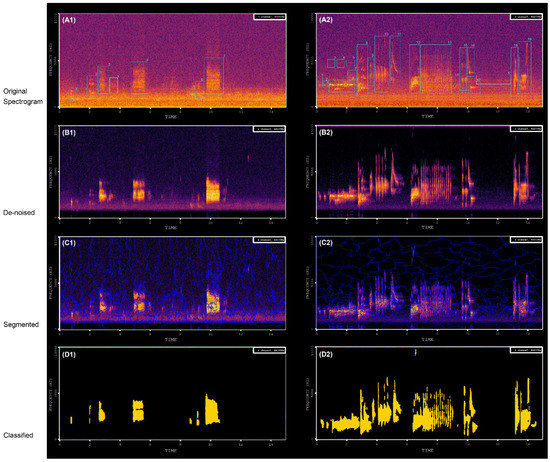 Forests | Free Full-Text | Diversity Monitoring of Coexisting Birds in ...