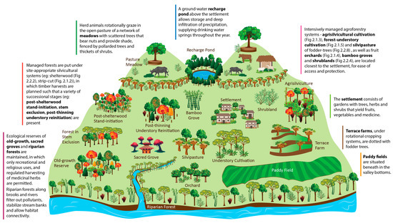 Lessons from Managing for the Extremes: A Case for Decentralized ...