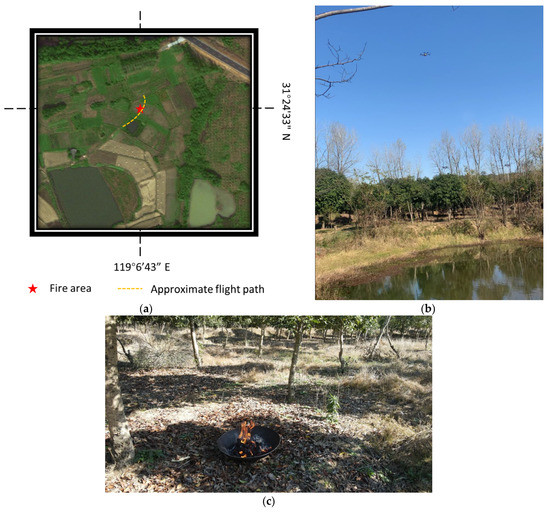 A Vision-Based Detection and Spatial Localization Scheme for Forest ...