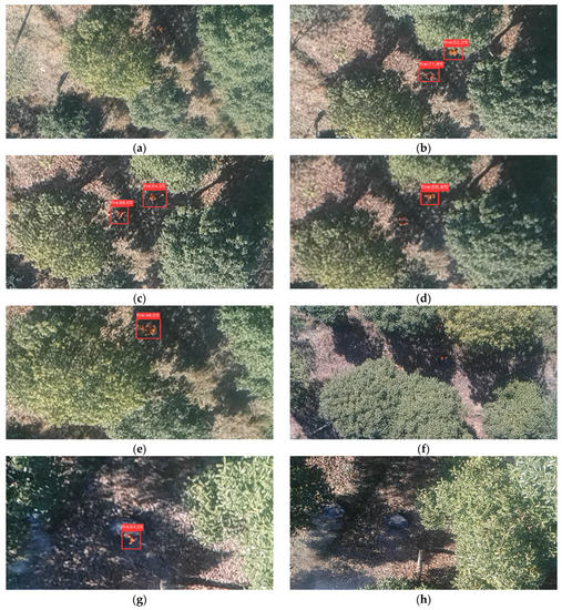 A Vision-Based Detection and Spatial Localization Scheme for Forest ...