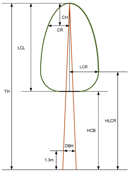Crown Profile Modeling and Prediction Based on Ensemble Learning