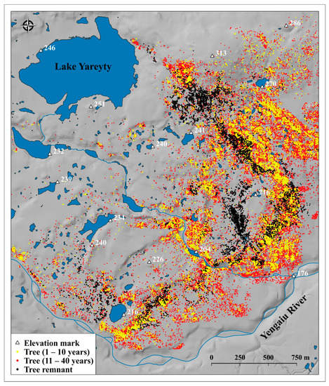 Reconstruction of the Expansion of Siberian Larch into the Mountain ...