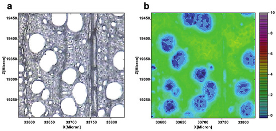 Chemical Characteristics of Wood Cell Wall with an Emphasis on ...