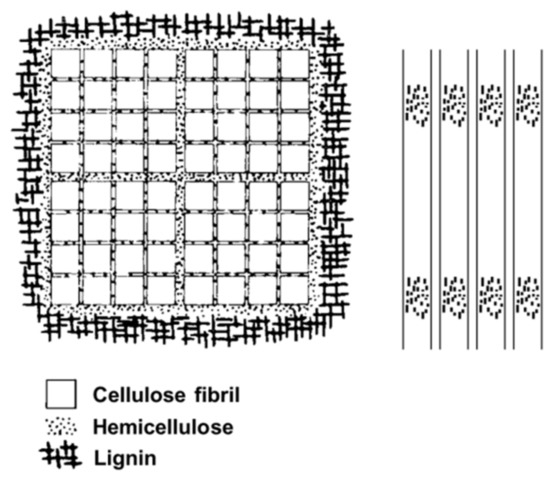 Chemical Characteristics of Wood Cell Wall with an Emphasis on ...
