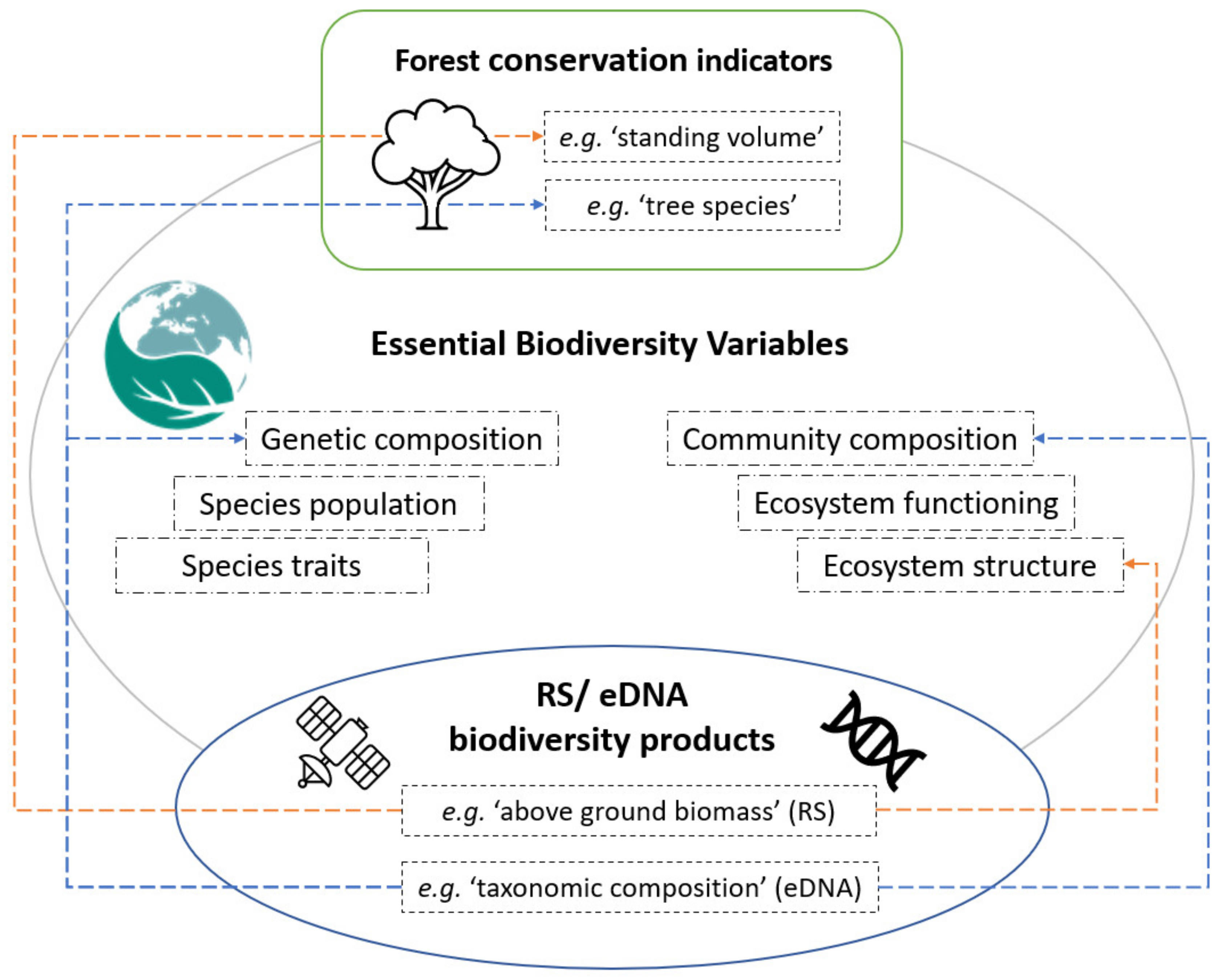 Harmonizing Forest Conservation Policies with Essential Biodiversity ...