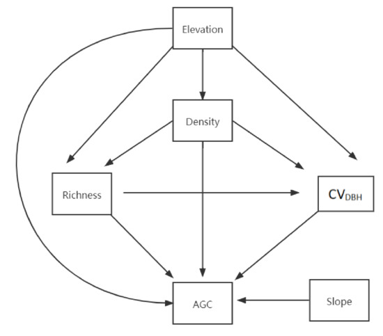 Topography, Diversity, and Forest Structure Attributes Drive ...