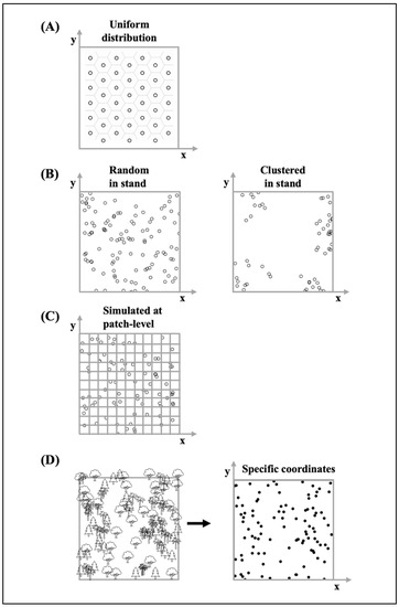 Forests | Free Full-Text | Forest Dynamics Models for Conservation ...