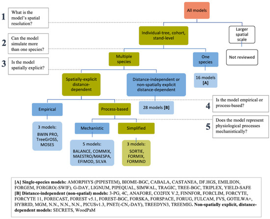 Forests | Free Full-Text | Forest Dynamics Models for Conservation ...