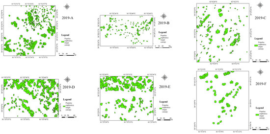 What Is the Effect of Quantitative Inversion of Photosynthetic Pigment ...