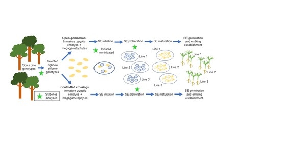 Forests | Special Issue : Application of Biotechnology Techniques on ...
