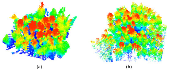 Segmenting Individual Tree from TLS Point Clouds Using Improved DBSCAN