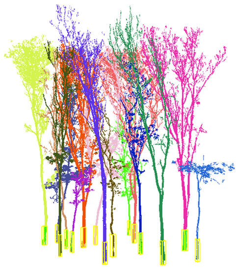 Segmenting Individual Tree from TLS Point Clouds Using Improved DBSCAN