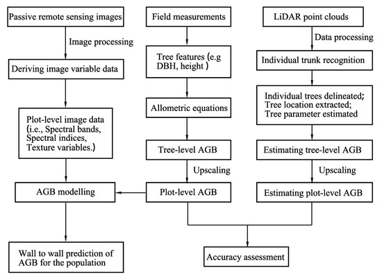 A Review of General Methods for Quantifying and Estimating Urban Trees and Biomass