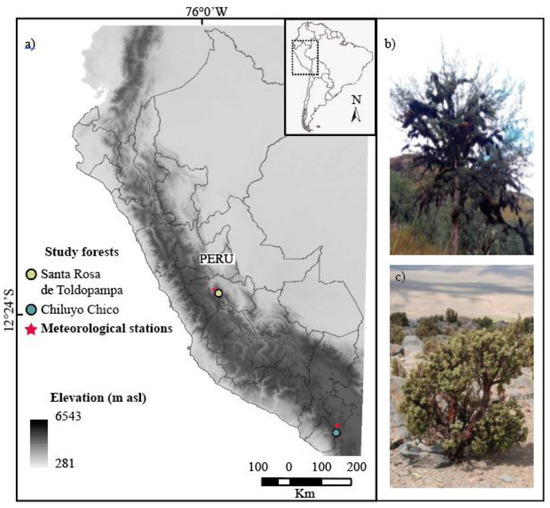 Assessing the Hydric Deficit on Two Polylepis Species from the Peruvian ...