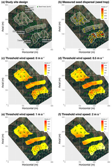 Seed Dispersal Models for Natural Regeneration: A Review and Prospects