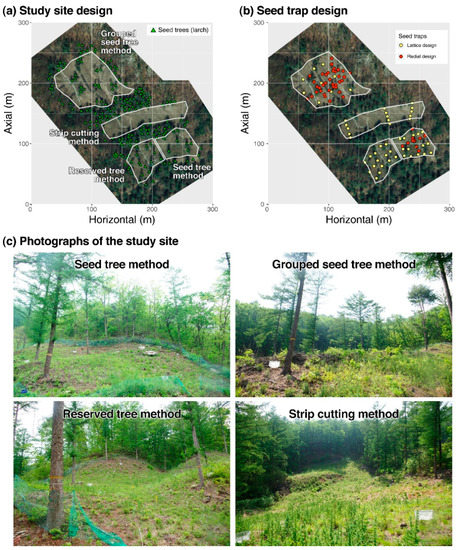 Seed Dispersal Models for Natural Regeneration: A Review and Prospects