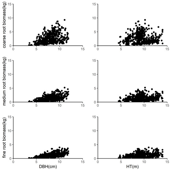 Additive Root Biomass Equations for Betula platyphylla Suk. Plantations ...