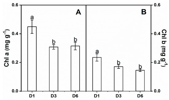 Robinia pseudoacacia Seedlings Are More Sensitive to Rainfall Frequency ...