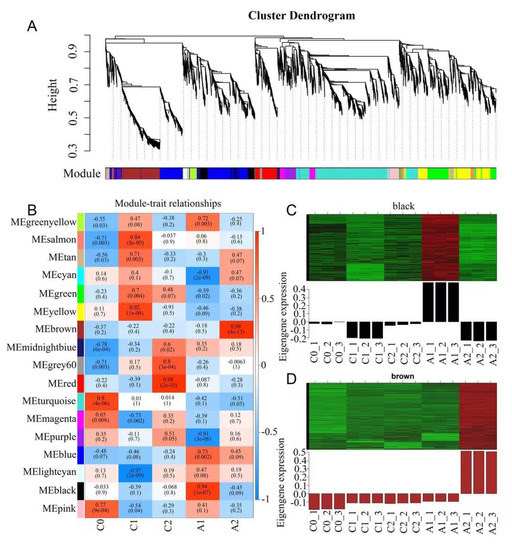 Transcriptome Analysis of Response to Aluminum Stress in Pinus massoniana