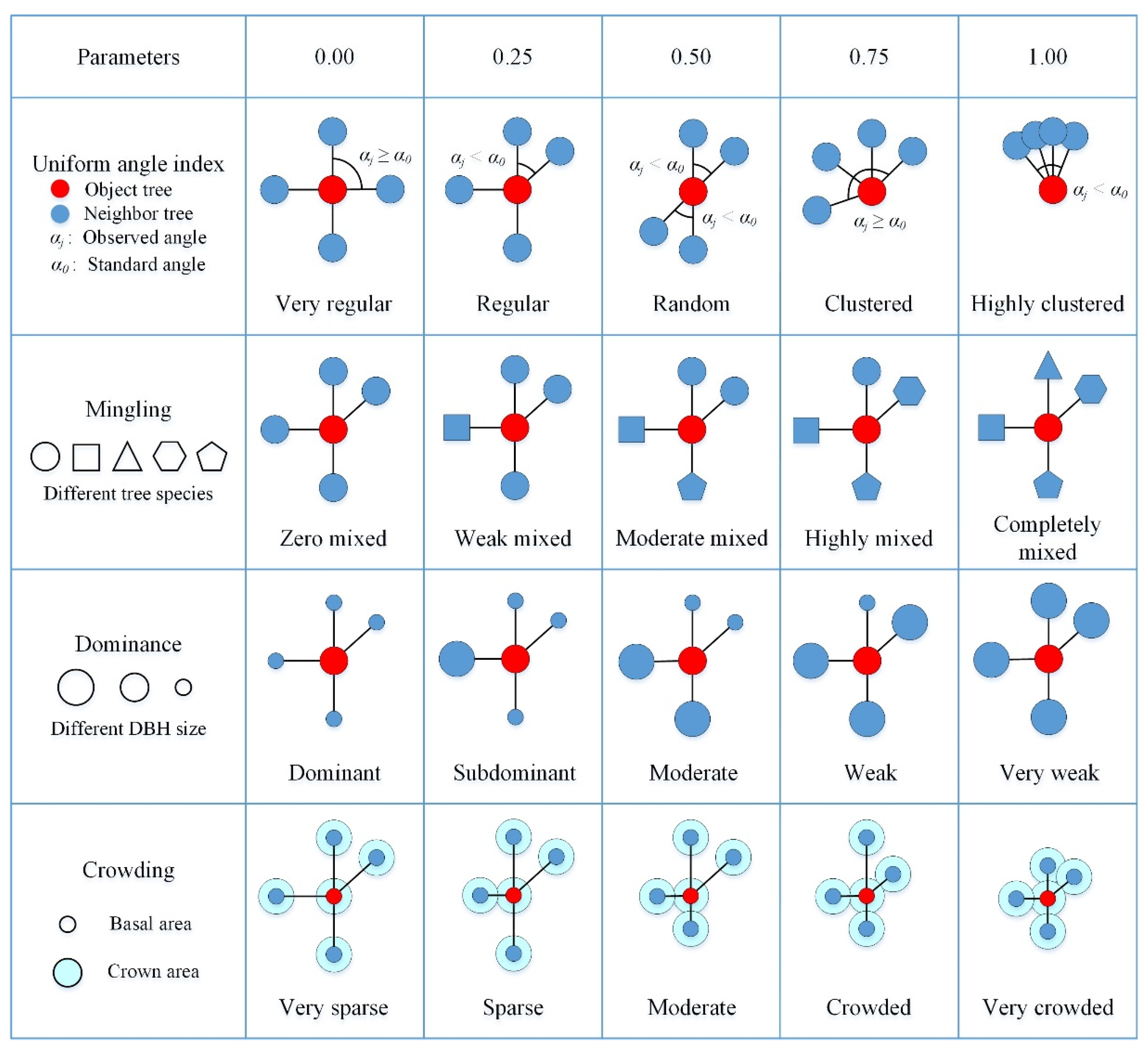 Spatial Structure Dynamics and Maintenance of a Natural Mixed Forest