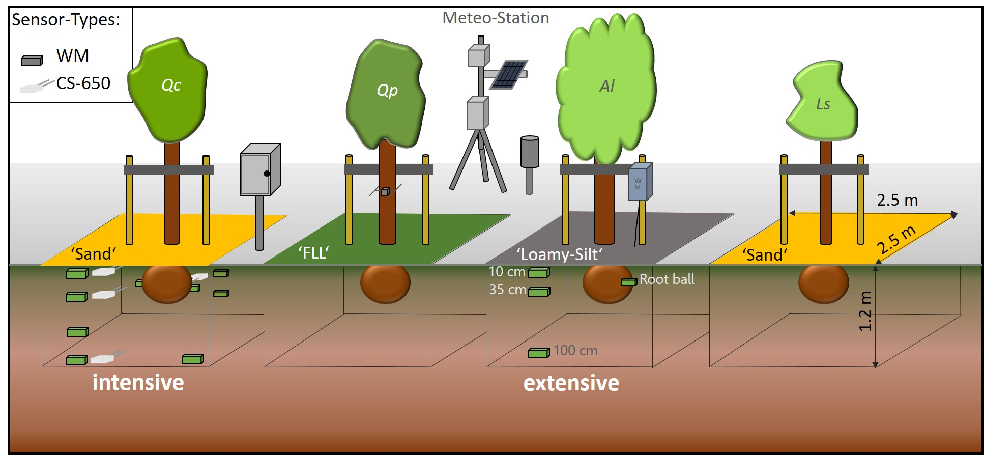 Forests | Free Full-Text | Growth Response of Nine Tree Species to ...