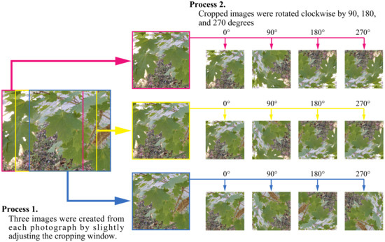 Verification of a Deep Learning-Based Tree Species Identification Model ...