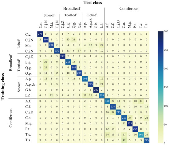 Verification of a Deep Learning-Based Tree Species Identification Model Using Images of ...