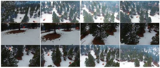 A Forest Fire Recognition Method Using UAV Images Based on Transfer ...