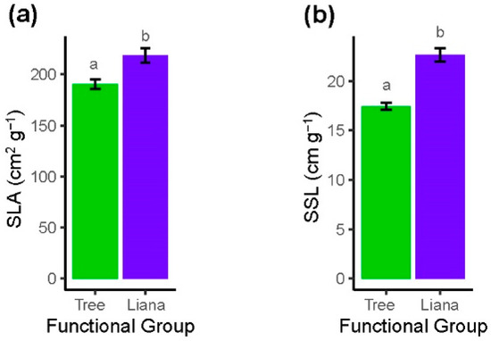 Whole-Plant Seedling Functional Traits Suggest Lianas Also Support ...