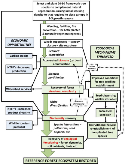 Climate Niche Modelling for Mapping Potential Distributions of Four ...