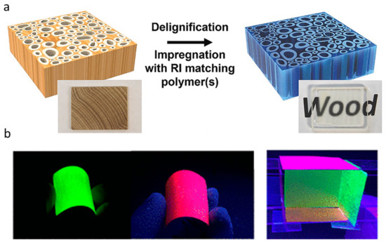 Review of Wood Modification and Wood Functionalization Technologies