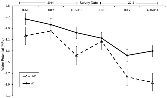 Water Availability Determines Tree Growth and Physiological Response to ...