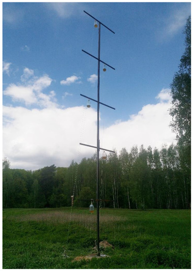 Forests | Free Full-Text | Vertical Stratification and Seasonal ...