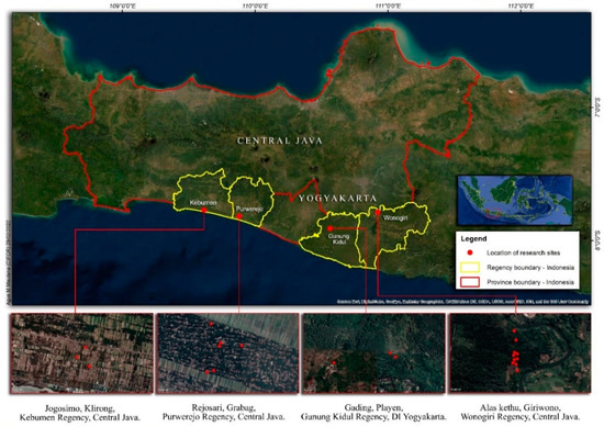 Forests | Free Full-Text | Allometric Equations for the Biomass ...