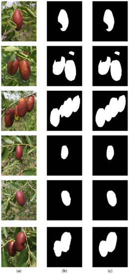 A Marker-Controlled Watershed Algorithm for the Intelligent Picking of ...