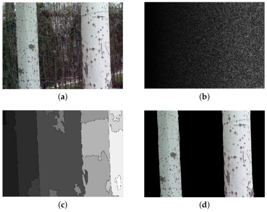 A Marker-Controlled Watershed Algorithm for the Intelligent Picking of ...