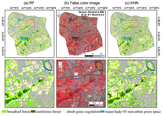 Identification of Urban Green Space Types and Estimation of Above ...