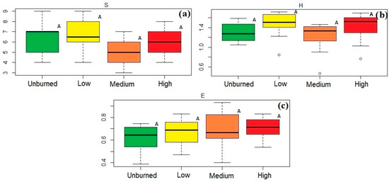Forests | An Open Access Journal from MDPI