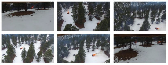 Forests | Free Full-Text | Comparative Research on Forest Fire Image ...