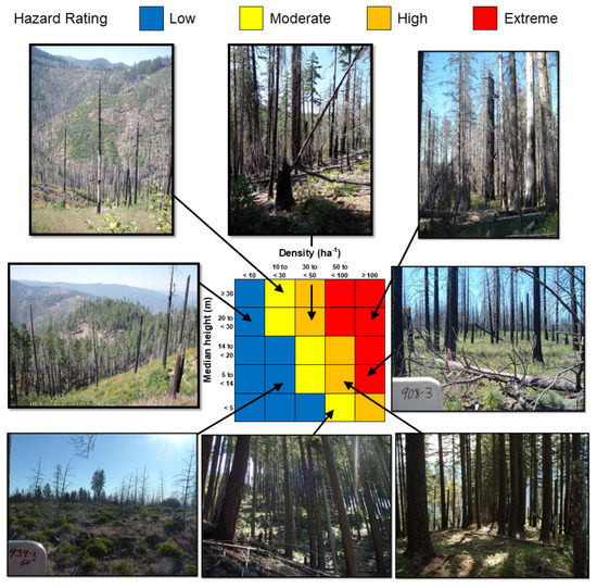 A National Map of Snag Hazard to Reduce Risk to Wildland Fire Responders