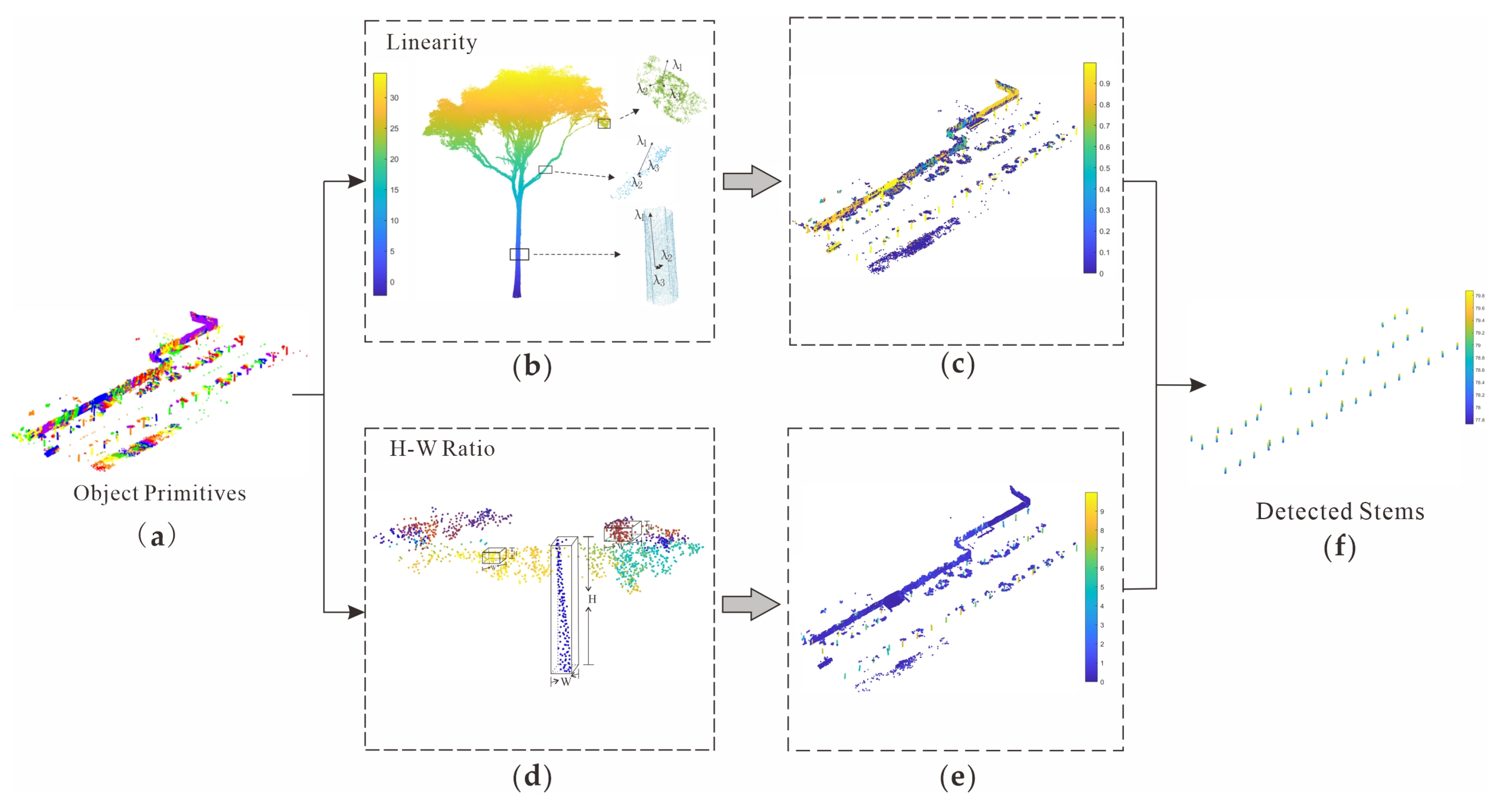 Forests | Free Full-Text | Street Tree Extraction and Segmentation from ...