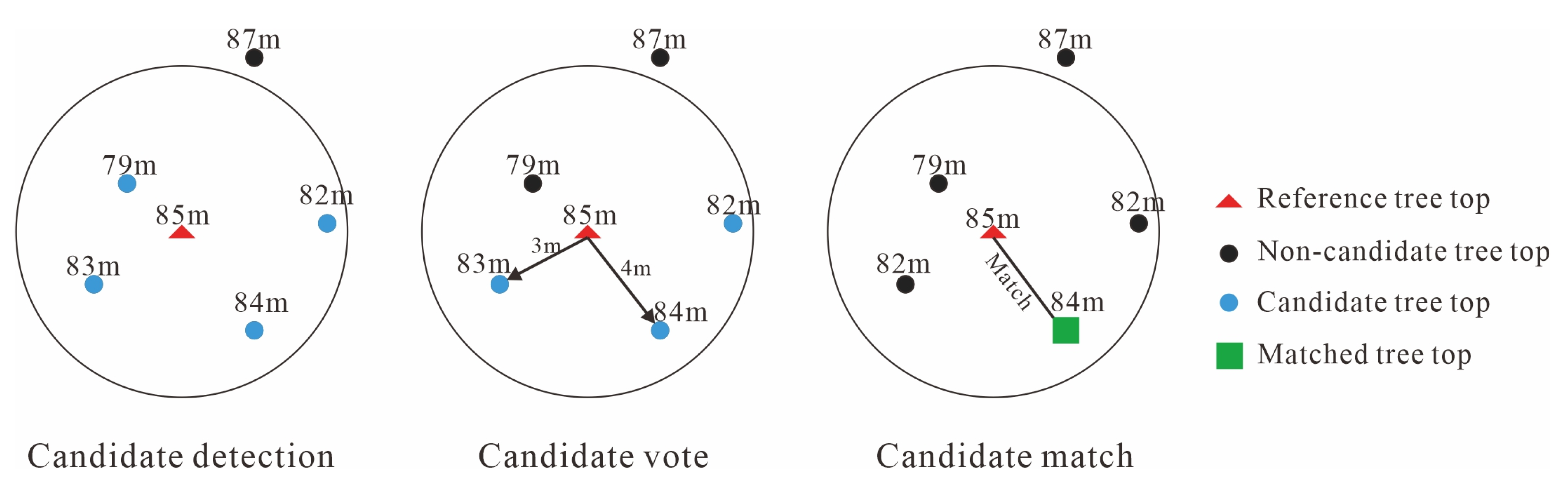 Forests | Free Full-Text | Street Tree Extraction and Segmentation from ...