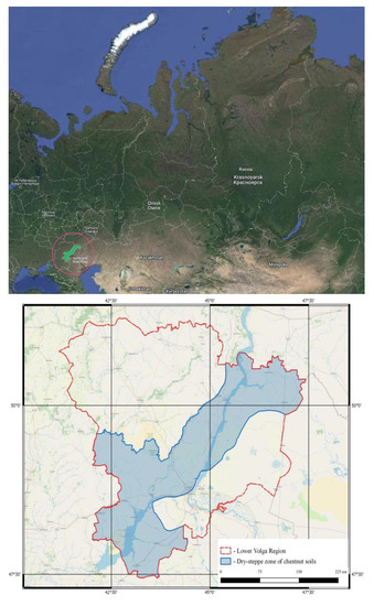Assessment of Ecological and Economic Efficiency of Agroforestry ...
